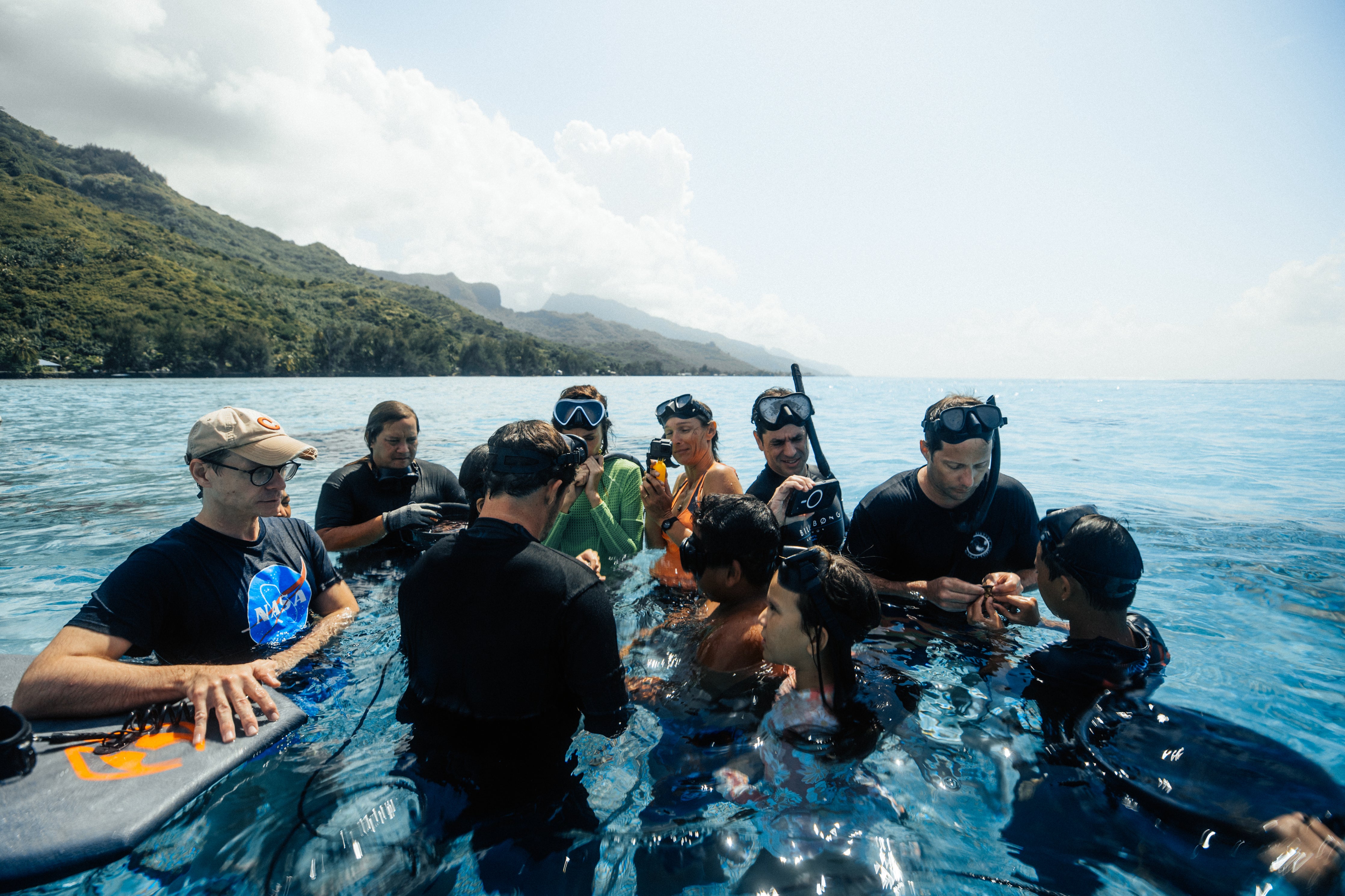 Coral Experience – Coral Gardeners
