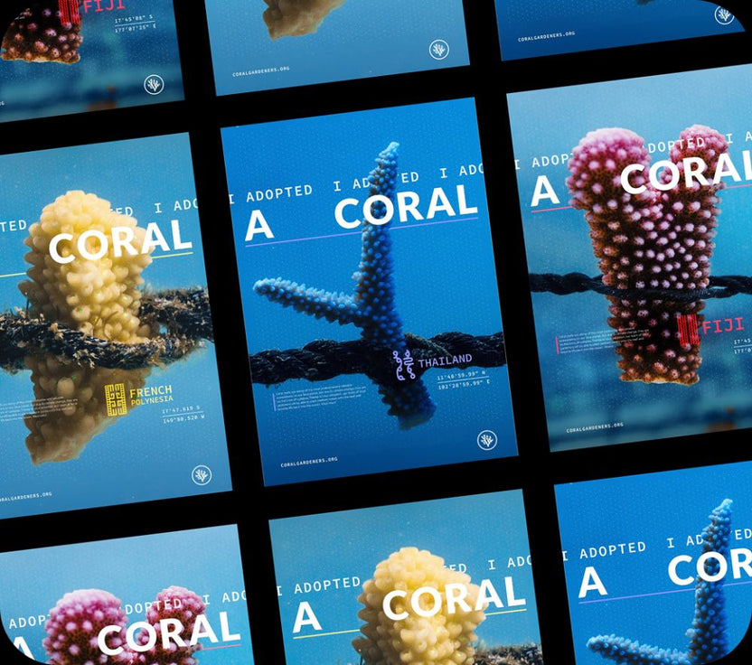 ADOPT A CORAL – Coral Gardeners