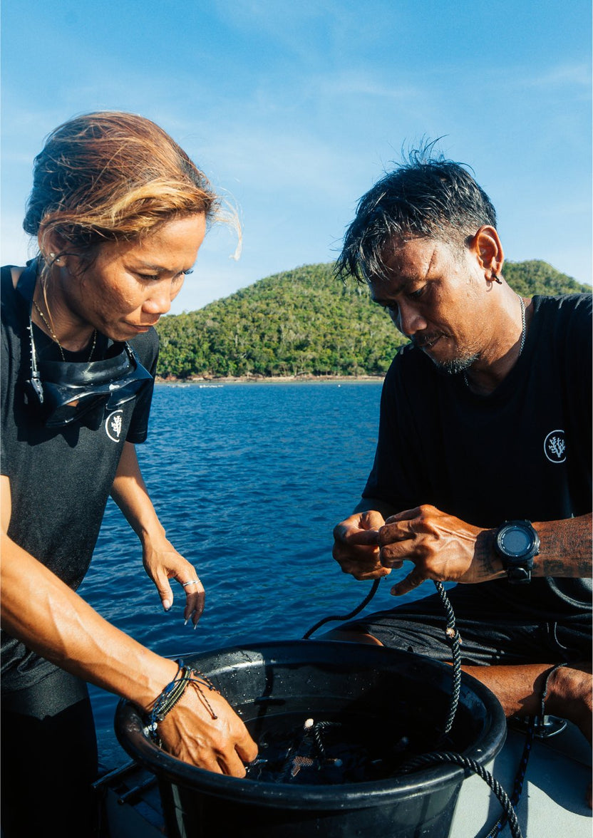 ADOPT A CORAL – Coral Gardeners