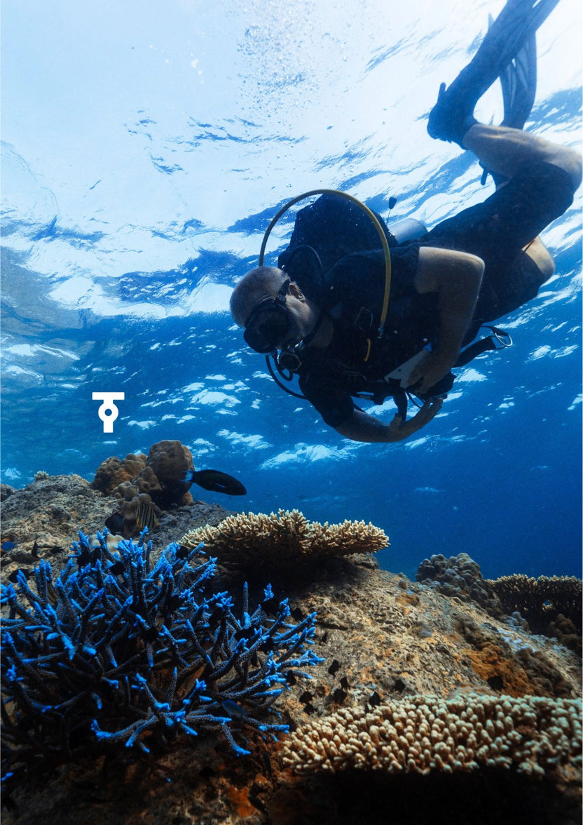 ADOPT A CORAL – Coral Gardeners