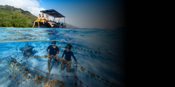Coral Gardeners